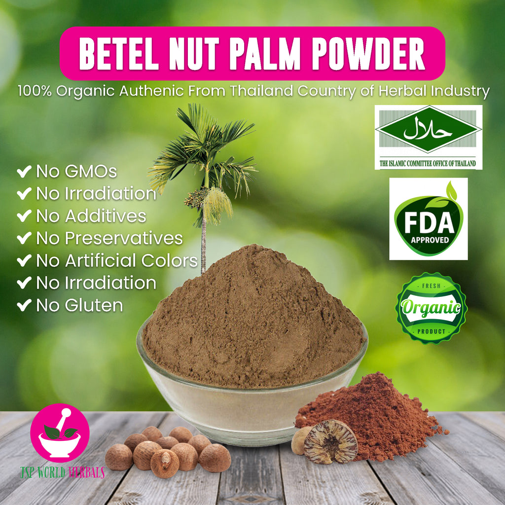 Areca Nut Palm | Betel Nut Palm Powder | Schizophrenia Treatment – JSP ...