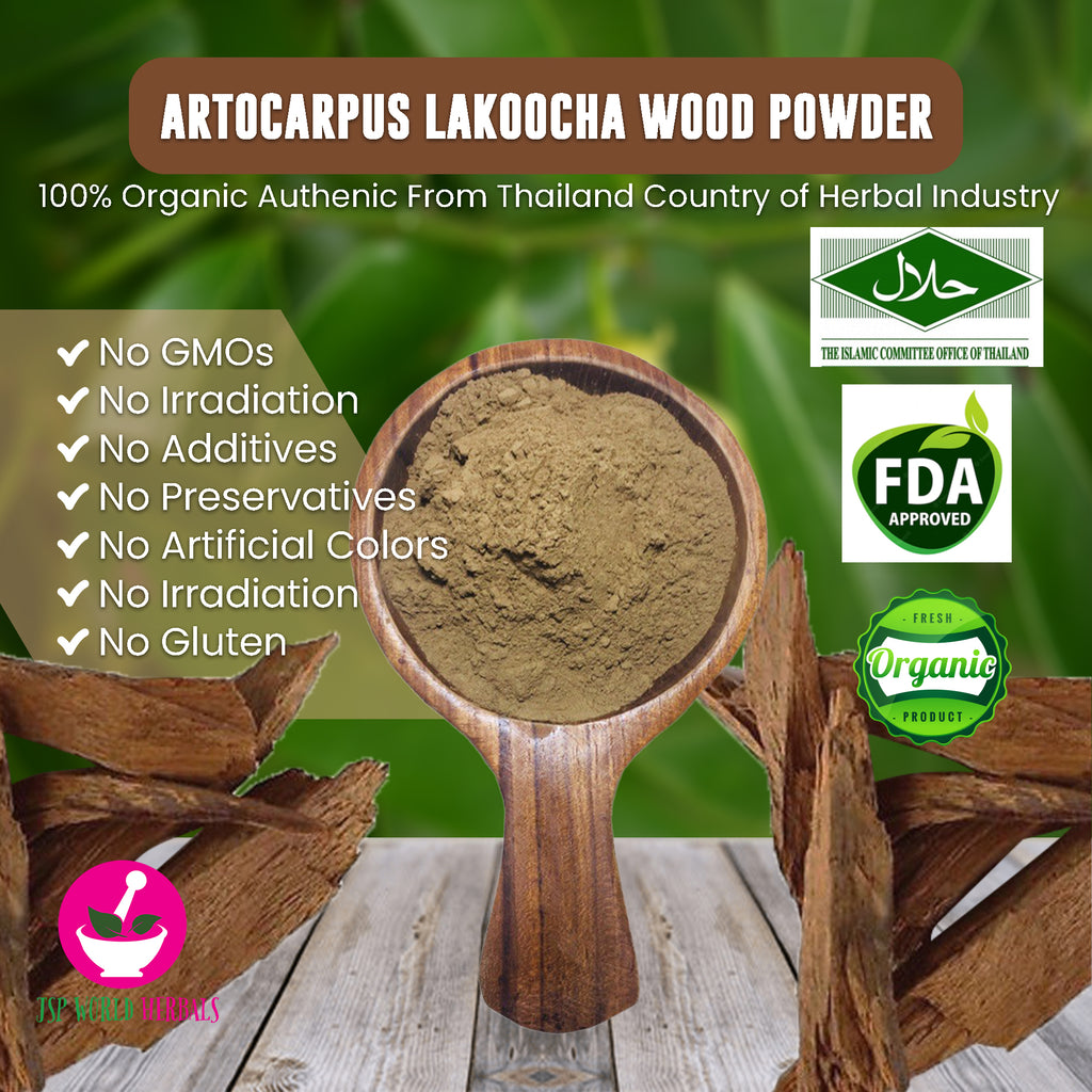 Artocarpus Lakoocha Wood Powder | Used Anti-inflammatory Therapy – JSP ...