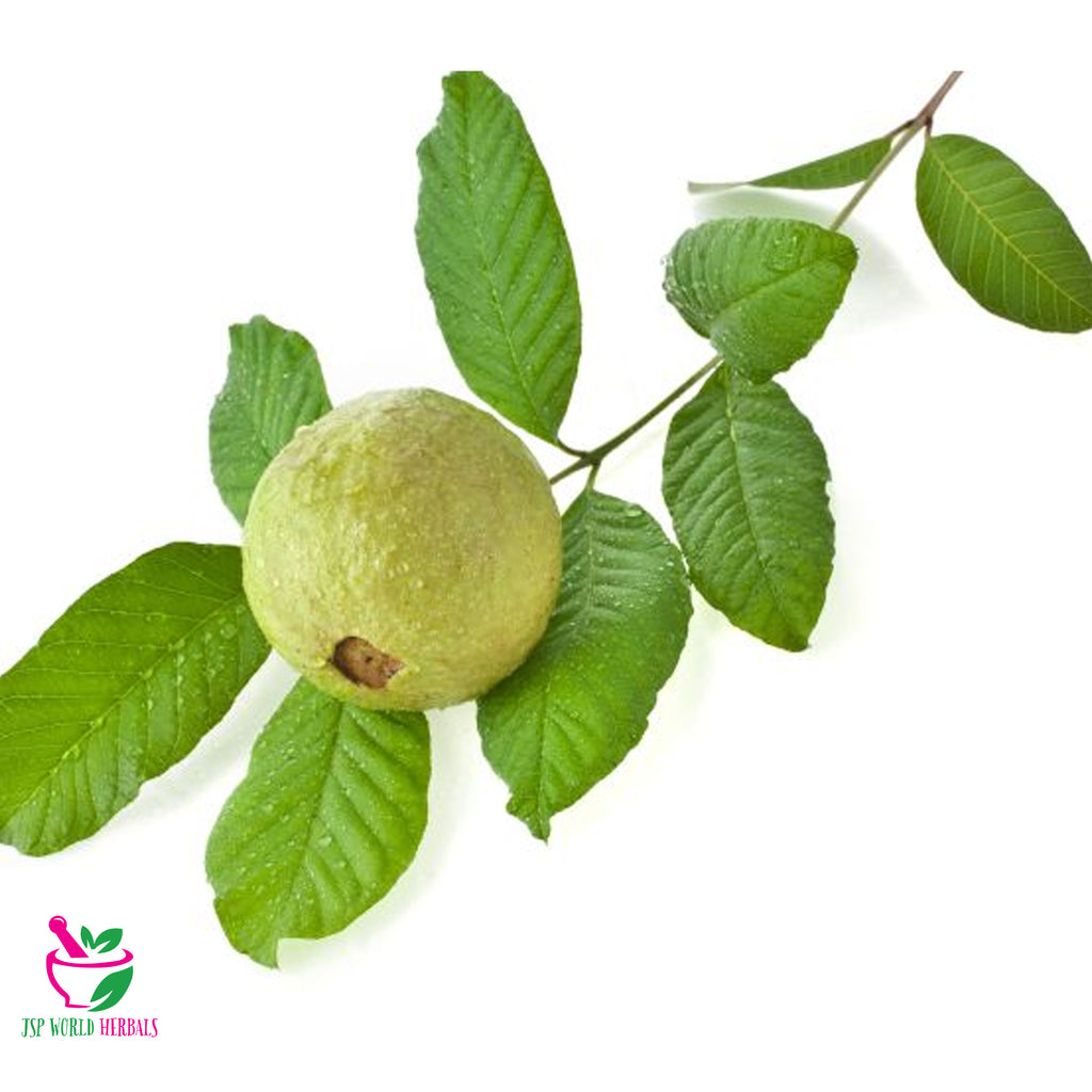 Guava Leaf Powder | No GMOs, Thailand Origin, Vegan Friendly. – JSP ...