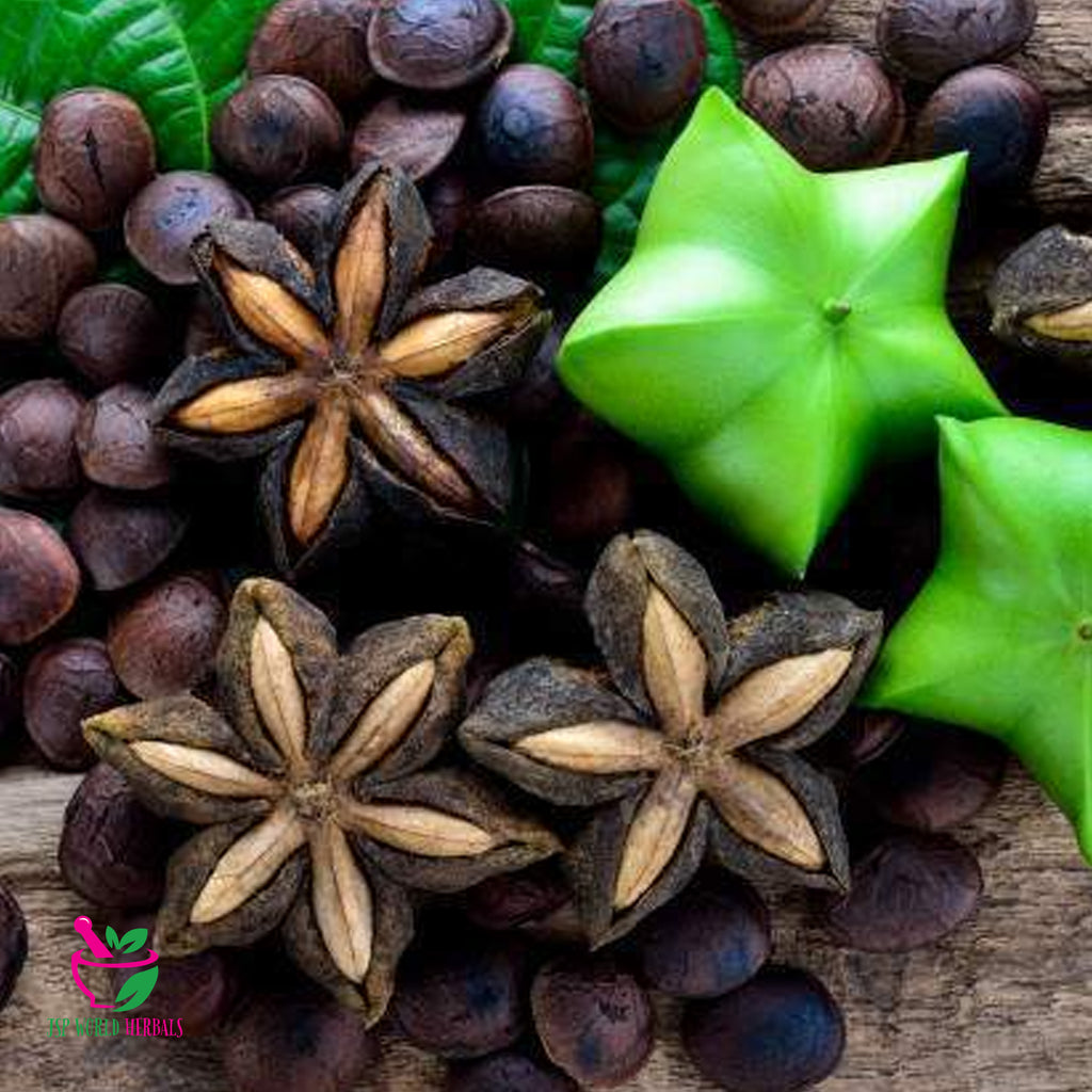 Sacha Inchi Herbal Stop Hunger Tea | Increased weight loss | No GMOs ...