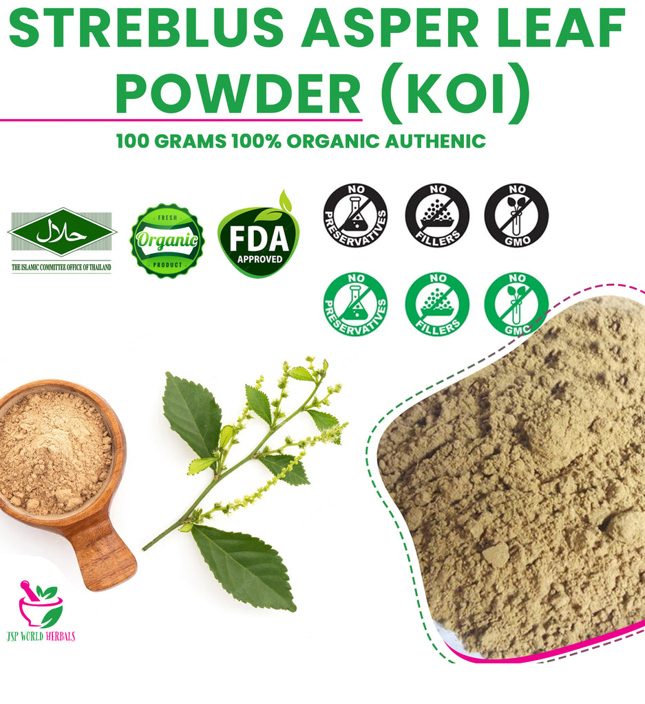Streblus Asper Leaf Powder (Koi) | Vegan Friendly | 100% Organic ...